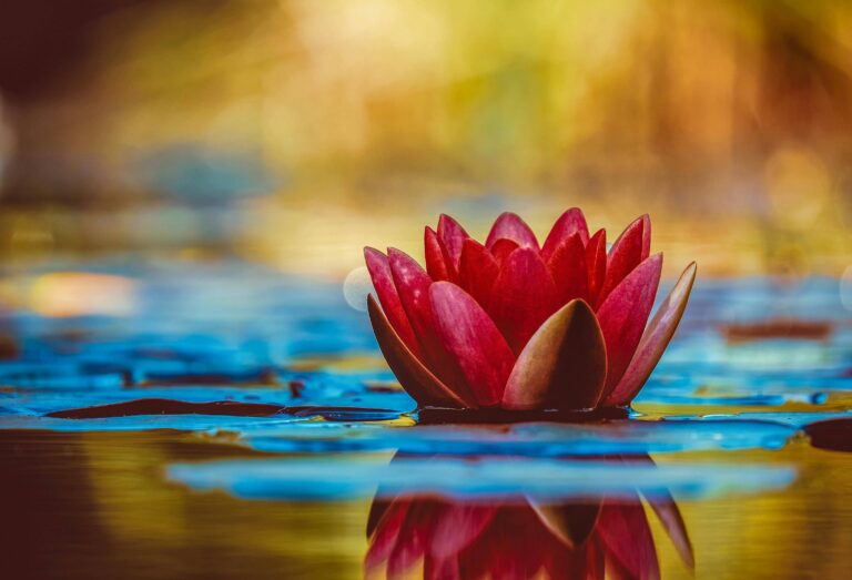 Seek the Path of Least Regret - Carolina Counseling Wellness Associates
